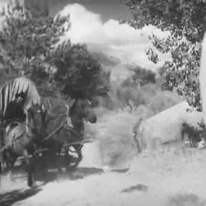 The Thundering Herd 1933 DVD Film Western Randolph Scott Judith Allen ...