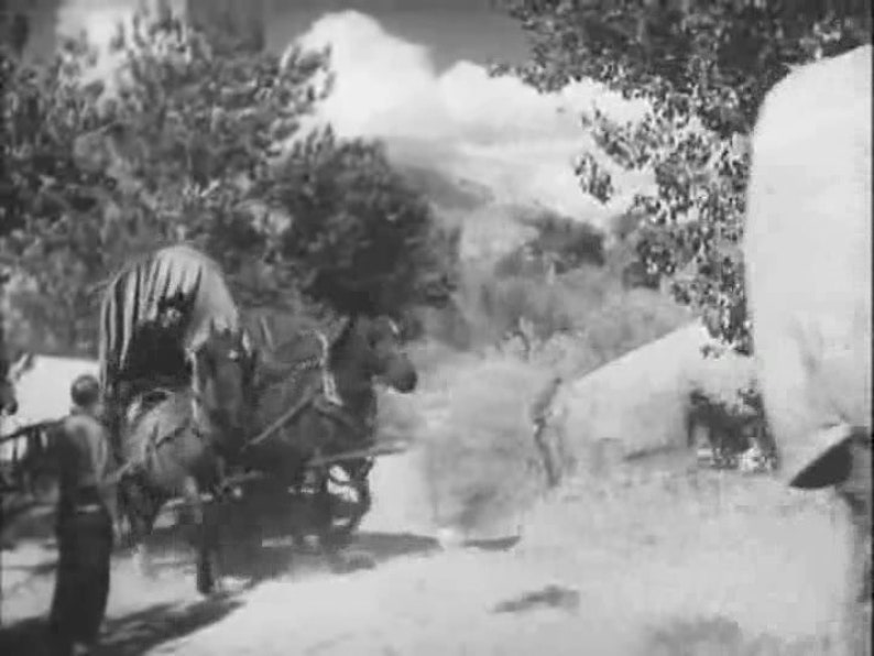 The Thundering Herd 1933 DVD Film Western Randolph Scott Judith Allen ...