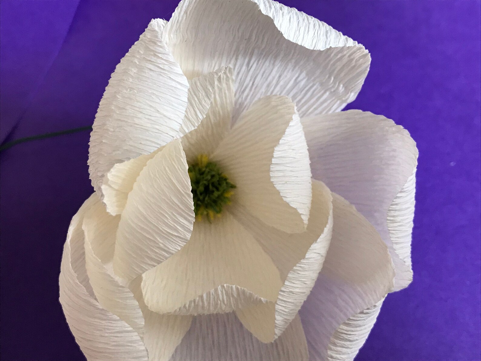 Crepe Magnolia Template - Etsy