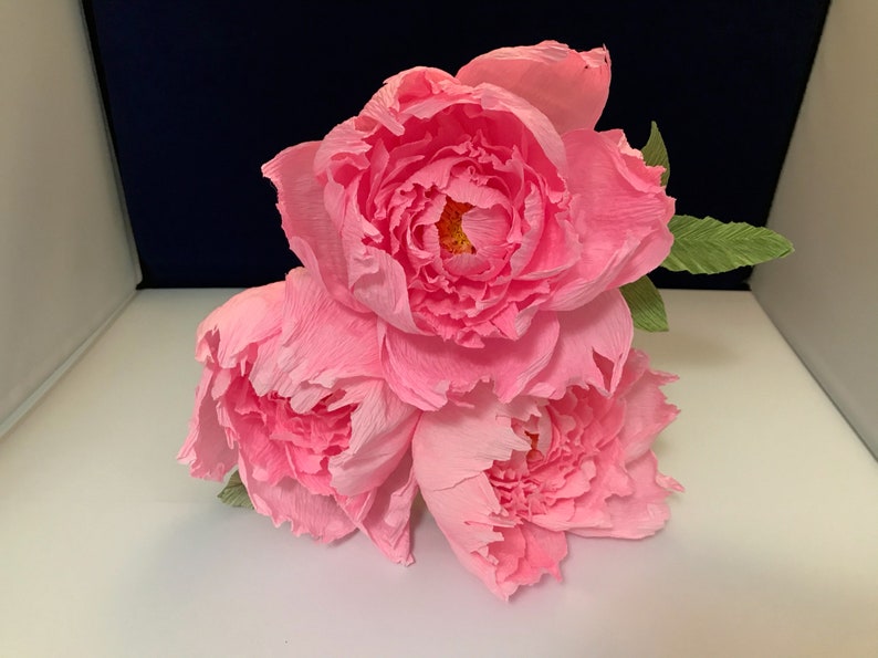 Petite Peony Template - Etsy