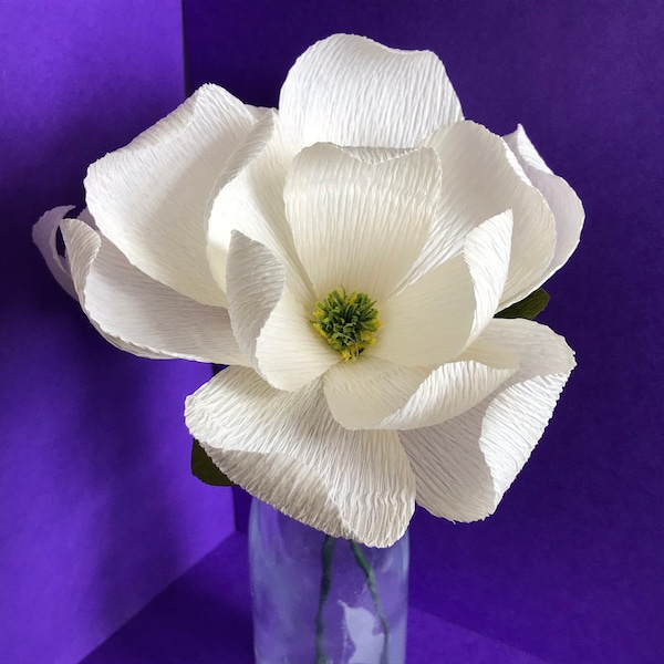 Magnolia Template - Etsy