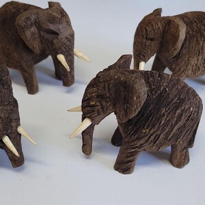 Herd of 5 Carved Dolf/mukwa/kiaat Wood Elephants. African Teakwood Set ...