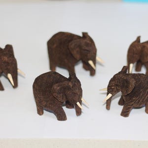 Herd of 5 Carved Dolf/mukwa/kiaat Wood Elephants. African Teakwood Set ...