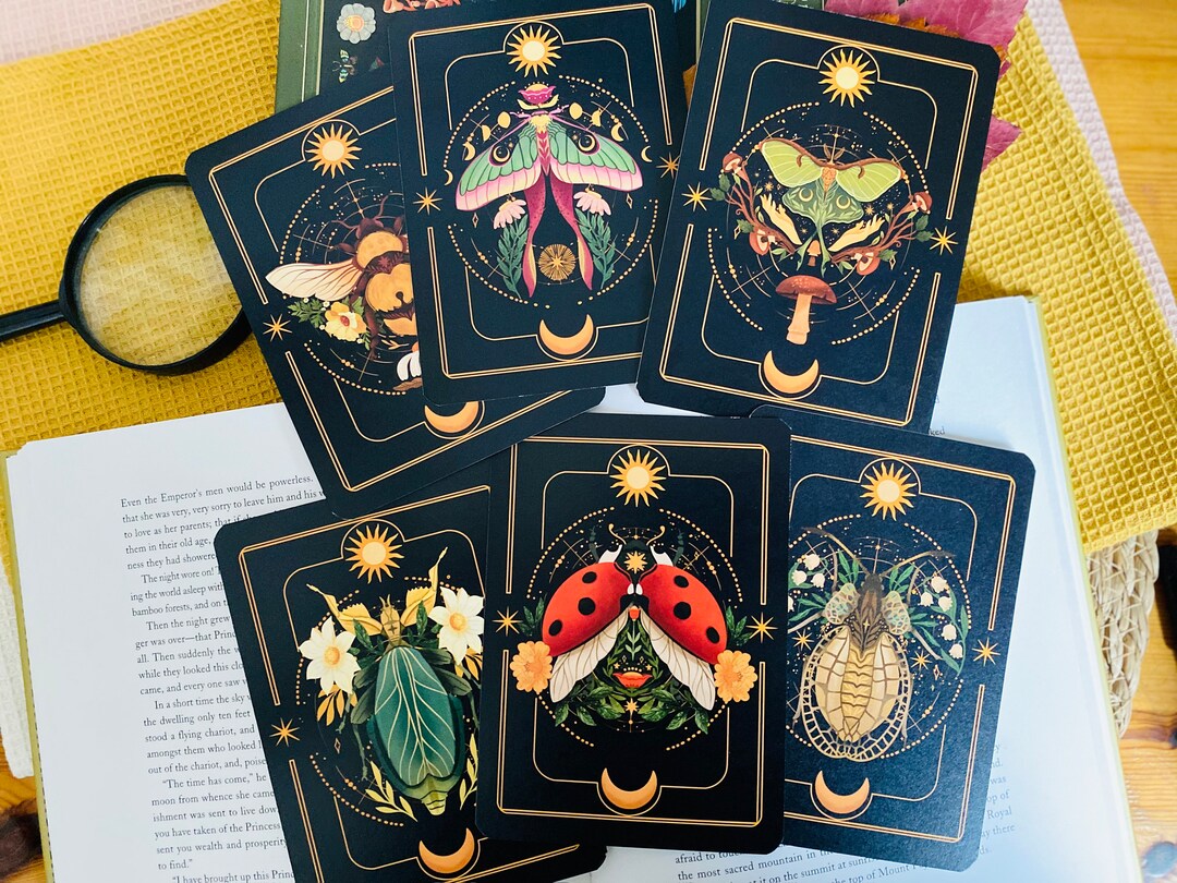 A Set of Insect Art Prints for Wall A6 Sized Post Card Artprint ...