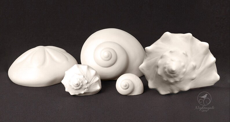 Cremation Urn Spiral Seashell Memorial for Human Ashes - Large #S180 - Etsy