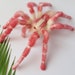 Lifelike Tarantula Spider, Poseable Shelf Decor, Wall Mount, Insect Art ...