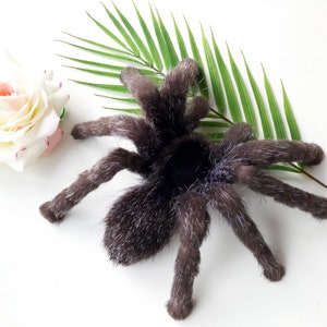Art Doll Goliath Bird Eating Spider Large Size Tarantula Realistic ...