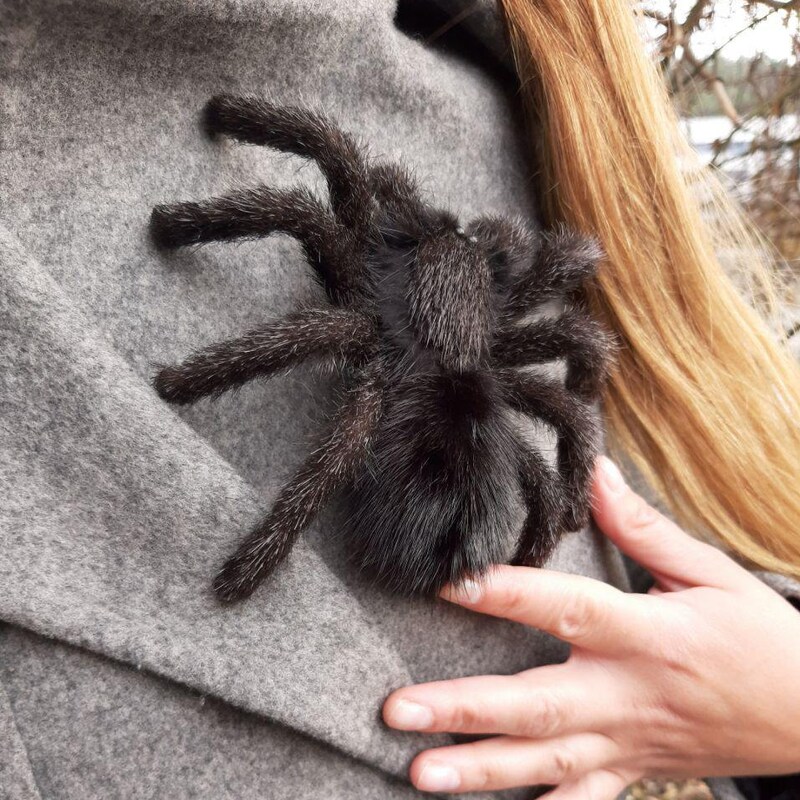 Realistic Spider Man Costumes - Etsy