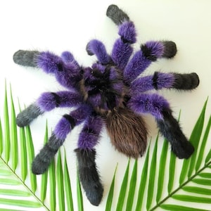 Realistic Artificial Spider Insect Film Prop Purple Plush Tarantula ...