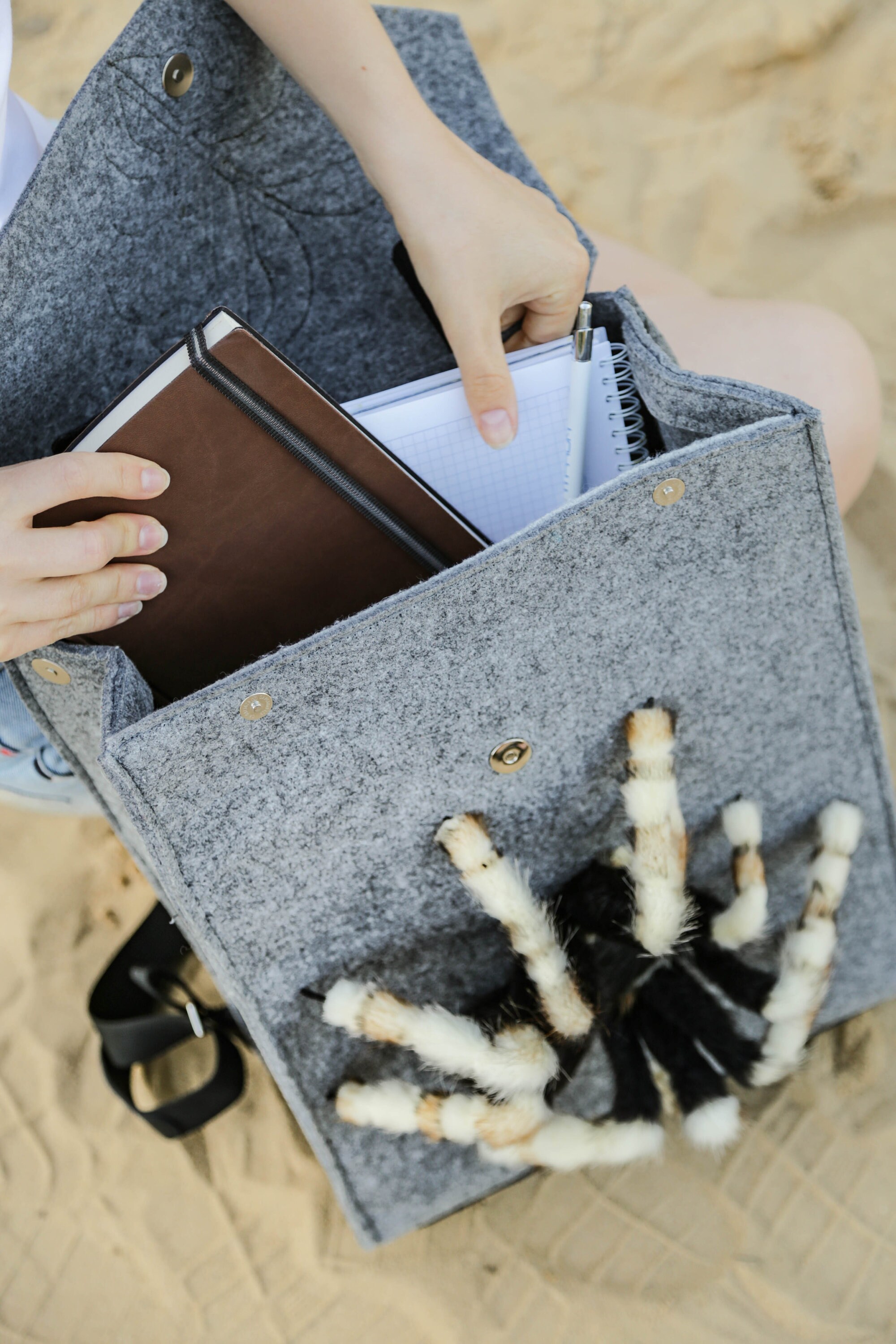 Spider Backpack Decor Tarantula Plush Insect Monster Bag - Etsy