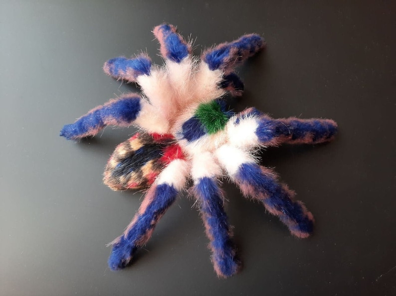 Tarantula Spider Art Doll - Shelf Decor - Jungle Wall Decoration ...