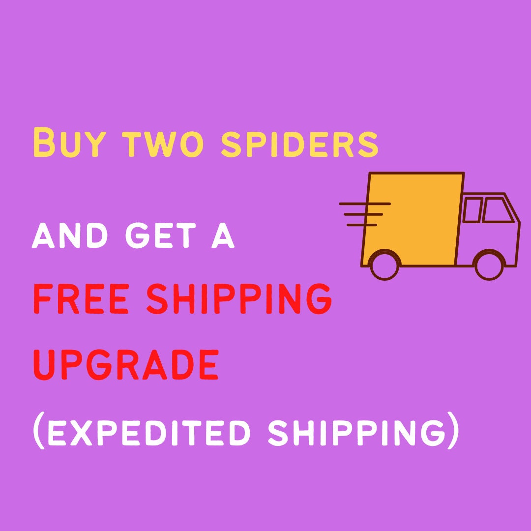 Spider Real Size Reptile Tank Decor Tarantula Realistic Sculpt - Etsy