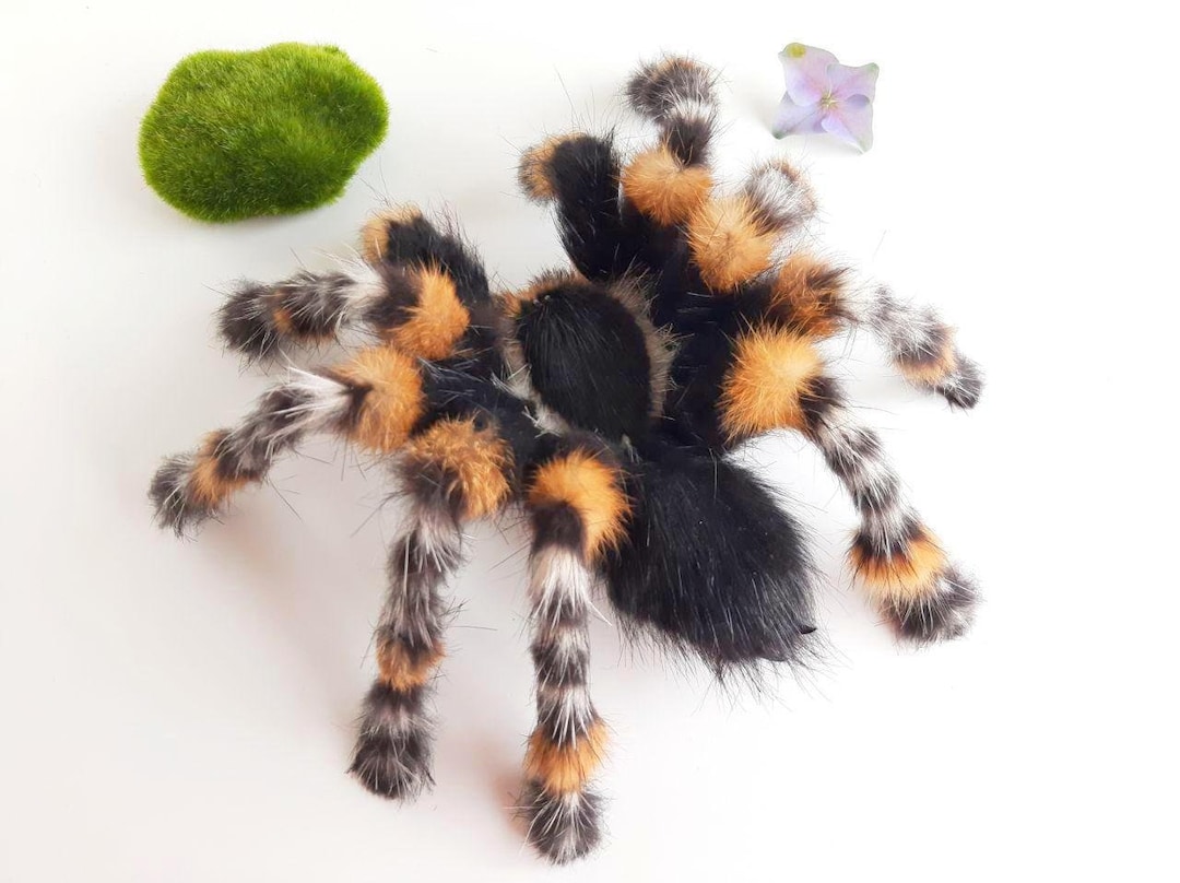 Entomology Gift Taranrula Spider Fluffy Posable Art Doll Plush Monster ...