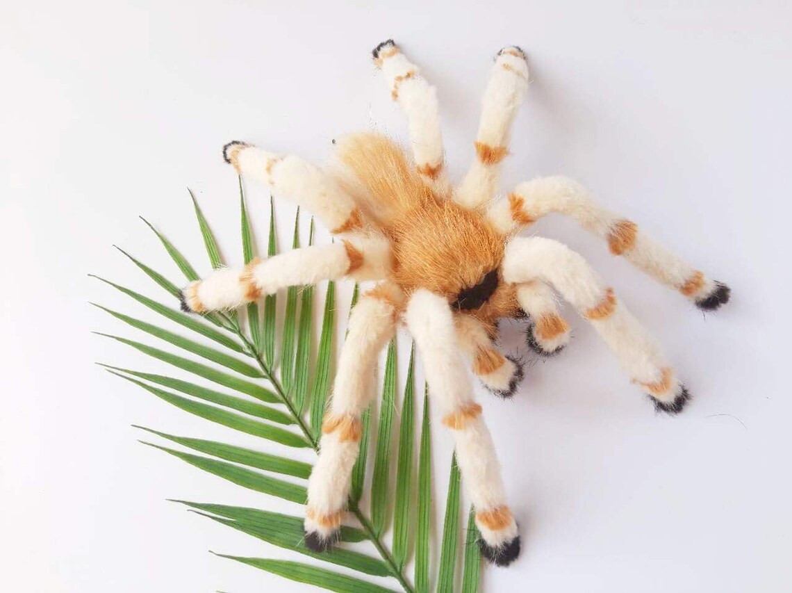 Old World Tarantula OOAK Spider Plush Realistic Stuffed Soft - Etsy