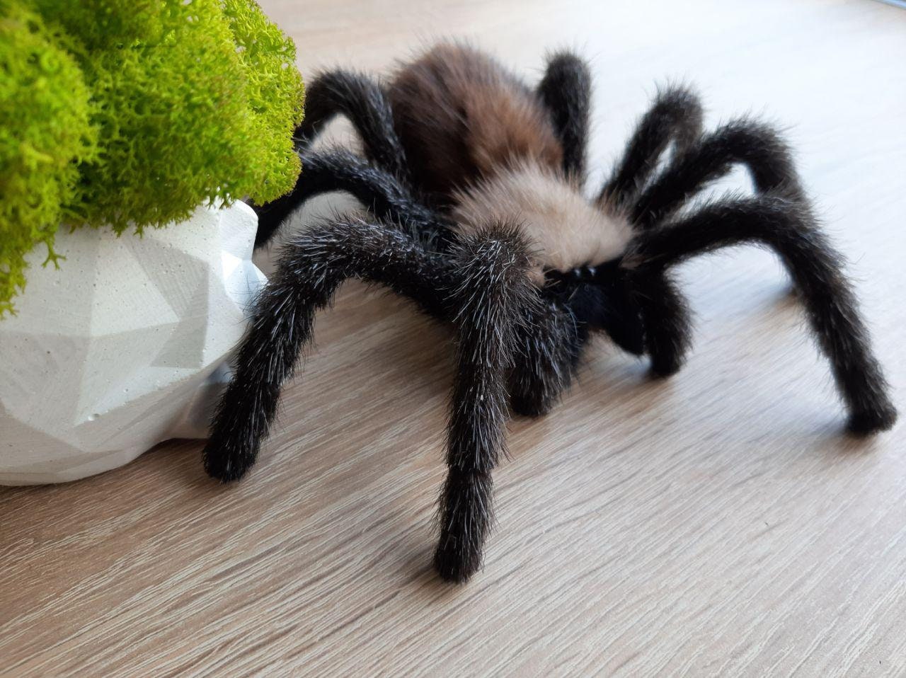 Tarantula Totem Real Size Spider Realistic Spider Sculpt Wildlife ...