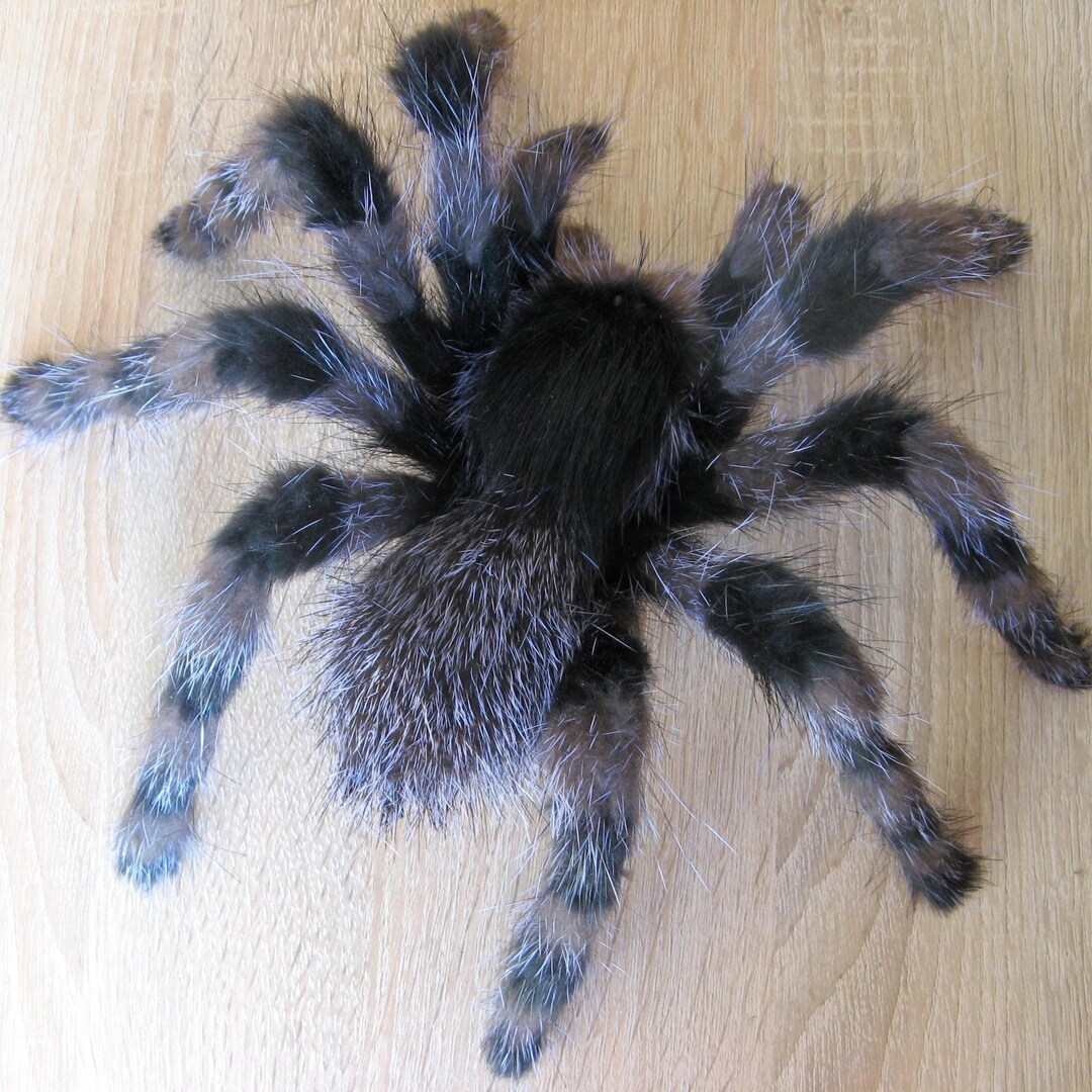 Lifelike Tarantula Plush, Soft-touch Spider Art Doll, Poseable Insect ...