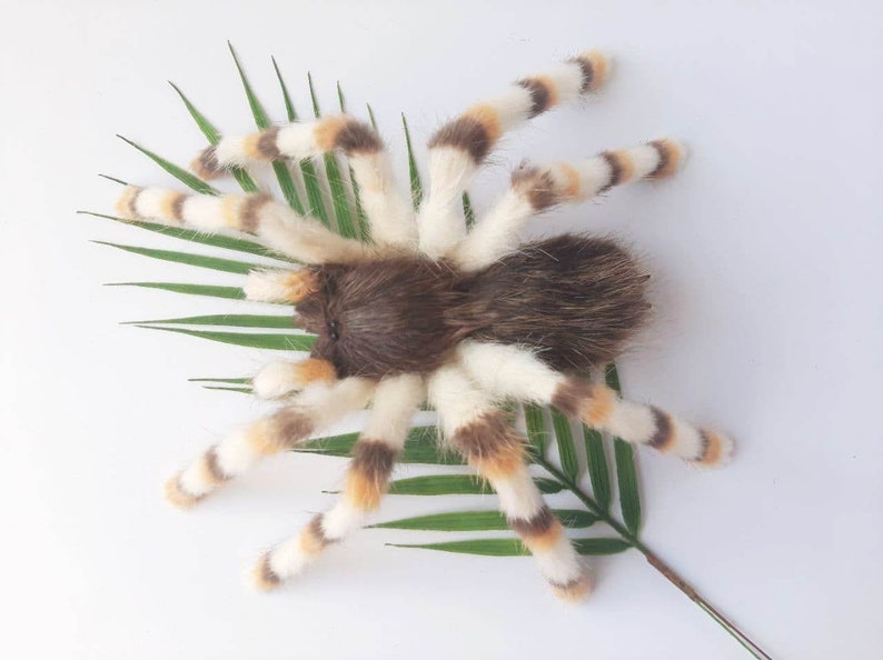 Gentle Tarantula OOAK Spider Plush Realistic Stuffed Soft Wall - Etsy