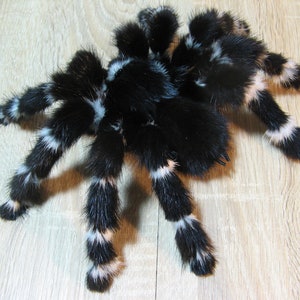 Striped Tarantula- Art Doll- Realistic Fake Tarantula- Stuffed Witch ...