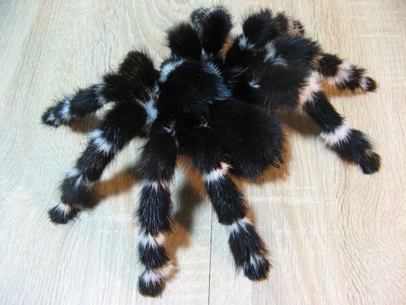 Striped Tarantula Art Doll Realistic Fake Tarantula Real | Etsy