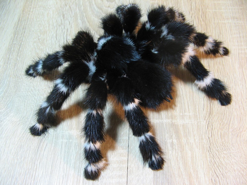 Striped Tarantula Art Doll Realistic Fake Tarantula Plush | Etsy