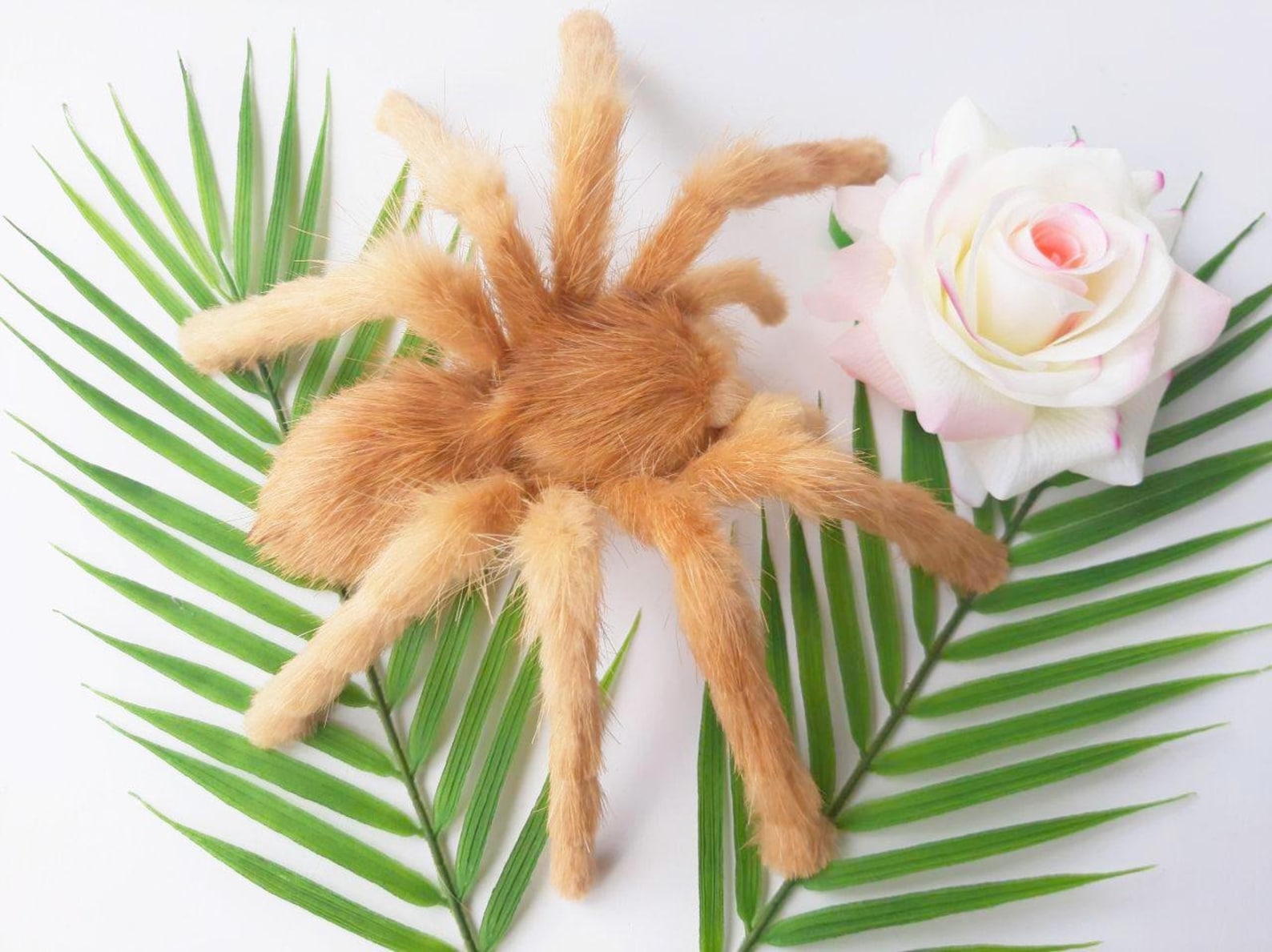 Spider Plush Saharan Tarantula Fluffy Posable Art Doll Insect - Etsy