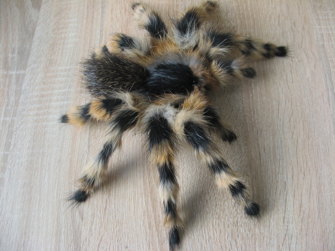 Realistic Tarantula Spider Poseable Shelf Decor Wall - Etsy