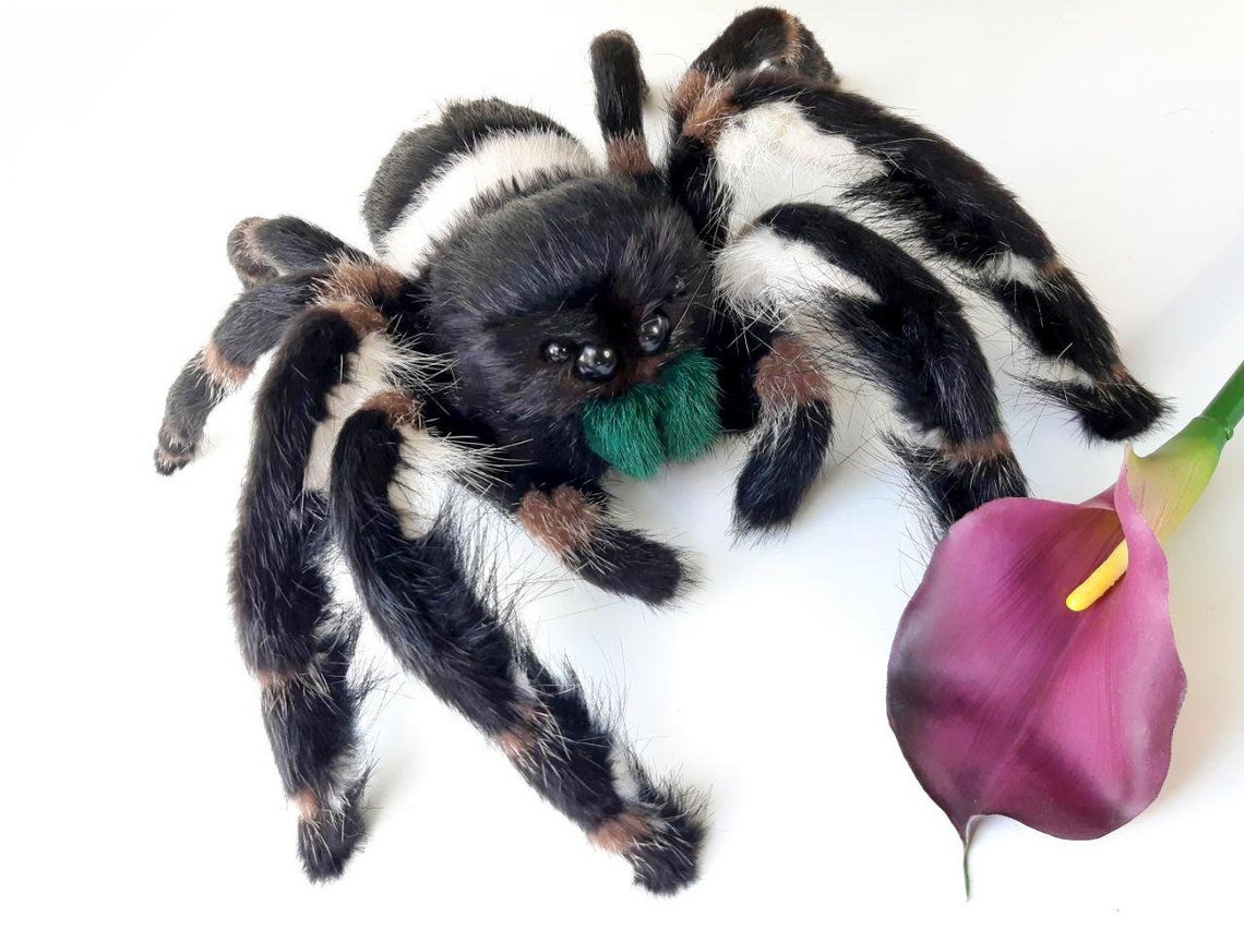 Spider Stuffed Animal
