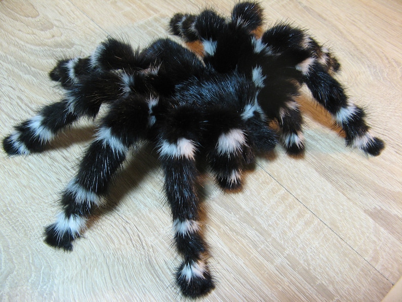Striped Tarantula Art Doll Realistic Fake Tarantula Plush | Etsy