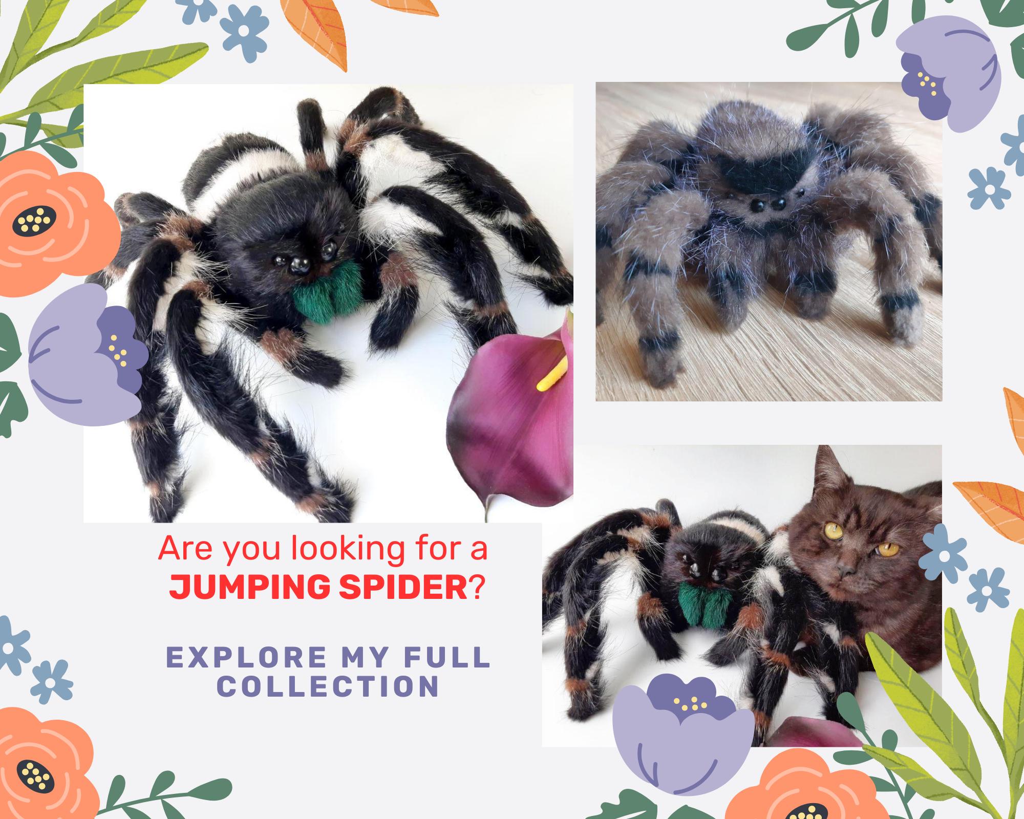 6" Jumping Spider Plush- Posable Art Doll Animal- Shelf Decor- Insect ...