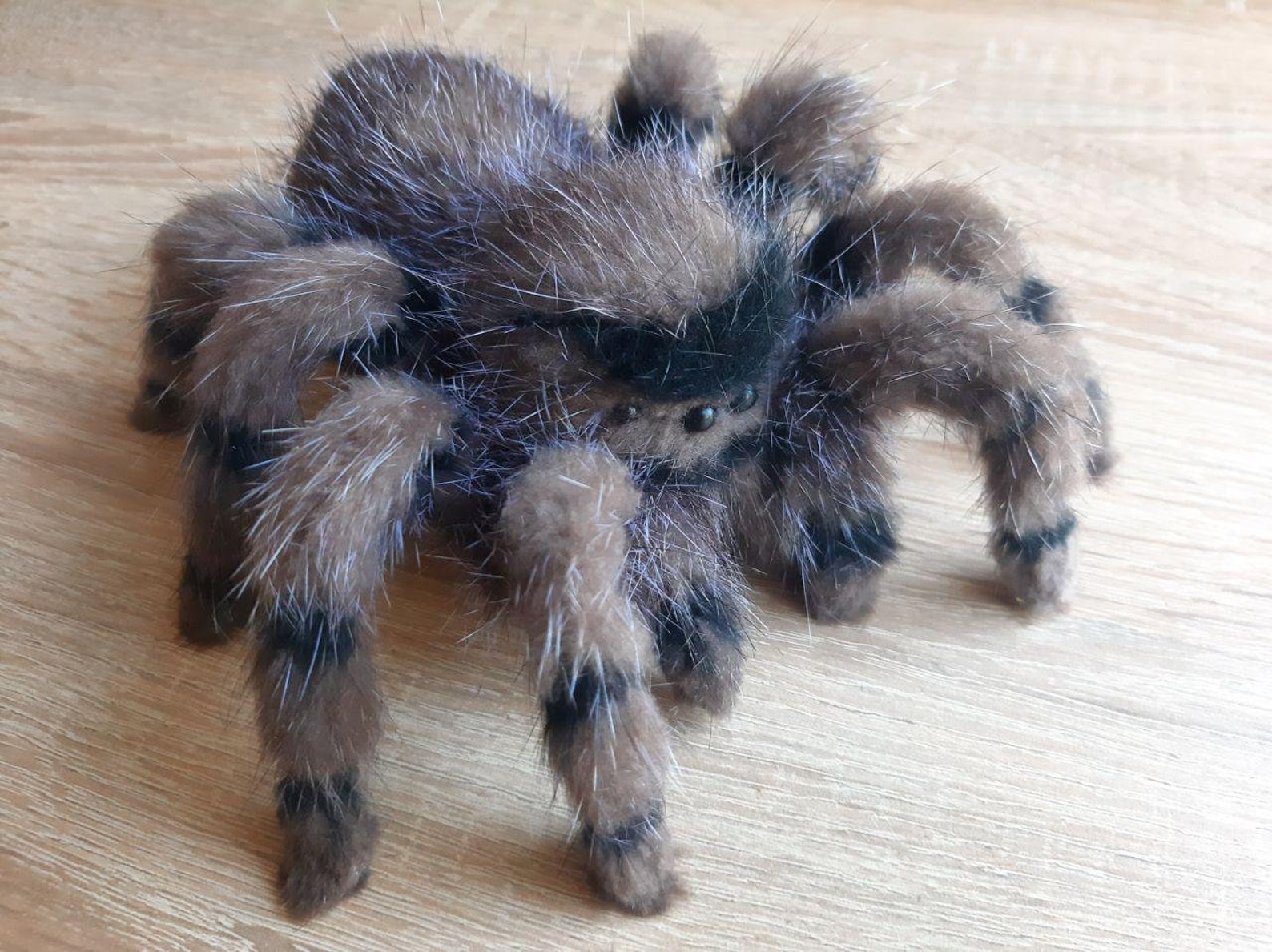 6" Jumping Spider Plush- Posable Art Doll Animal- Shelf Decor- Insect ...