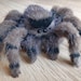 6" Jumping Spider Plush- Posable Art Doll Animal- Shelf Decor- Insect ...