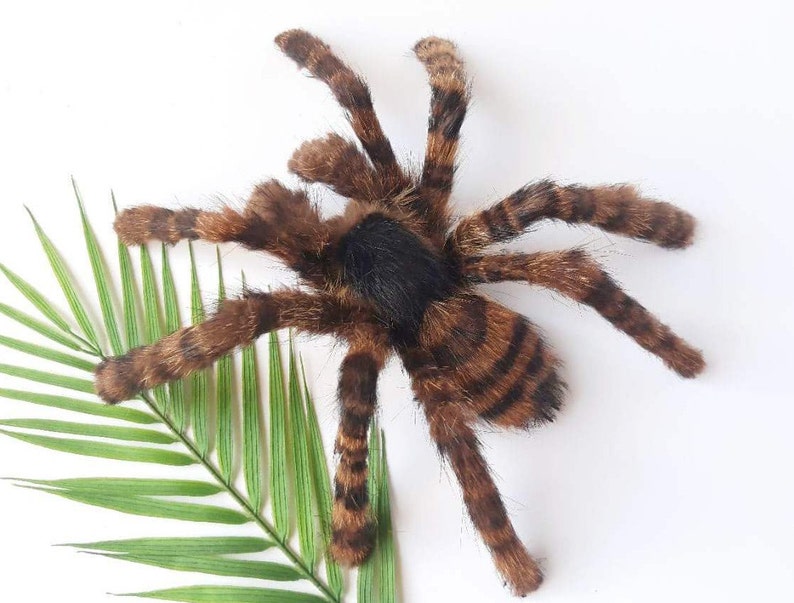 Raptorial Tarantula OOAK Spider Plush Realistic Stuffed Soft - Etsy