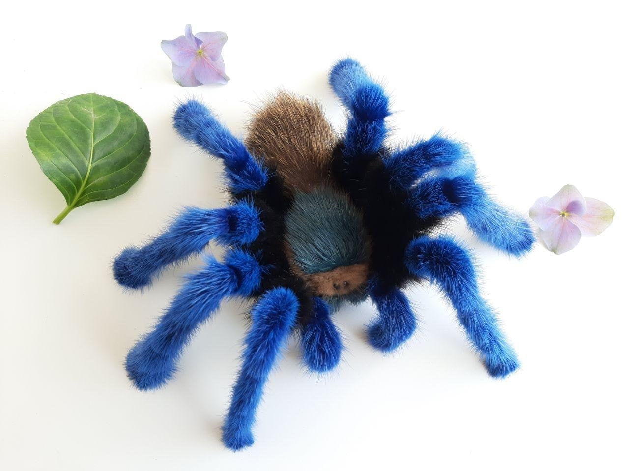 Soft Mount Taxidermy Spider Plush Faux Taxidermy Greenbottle - Etsy UK