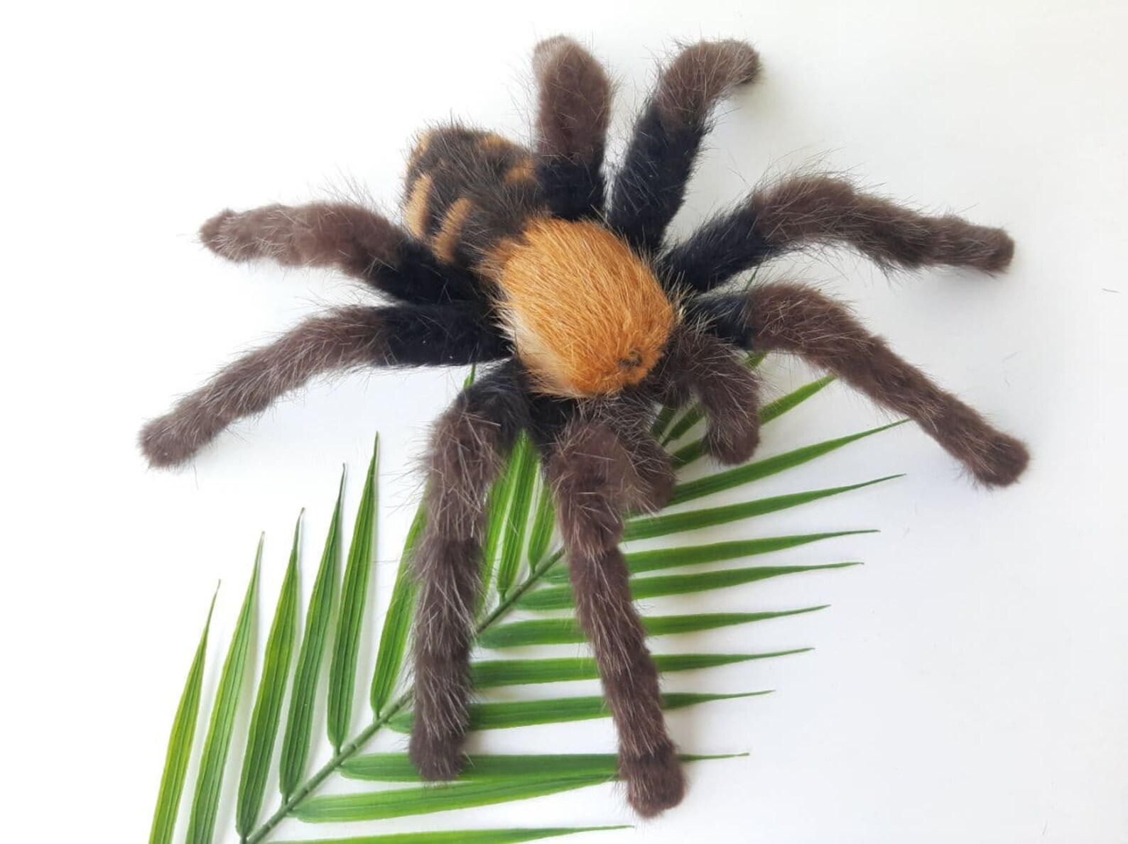 Insect Wall Art Wall Hangings - Etsy