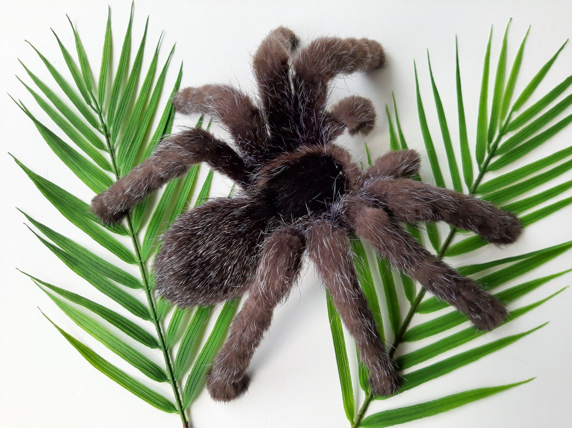 Art Doll Goliath Bird Eating Spider Large Size Tarantula - Etsy