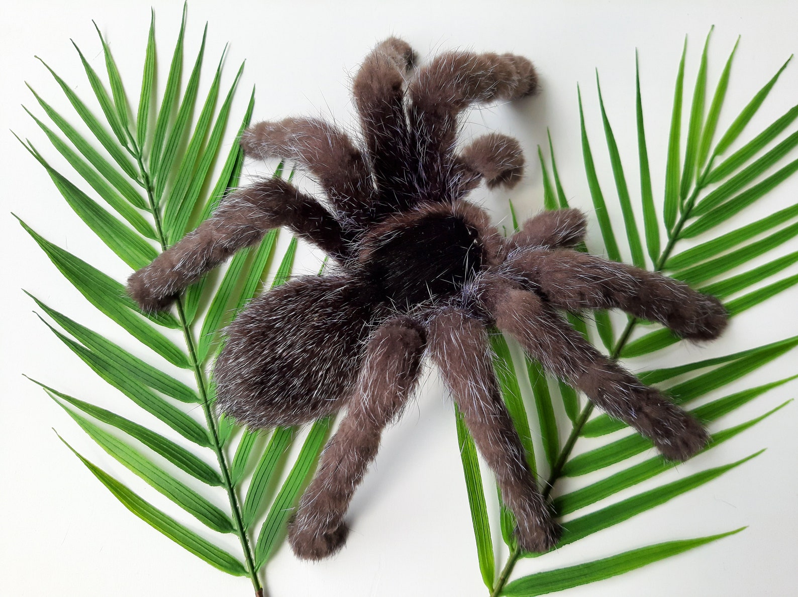 Art Doll Goliath Bird Eating Spider Large Size Tarantula Realistic ...