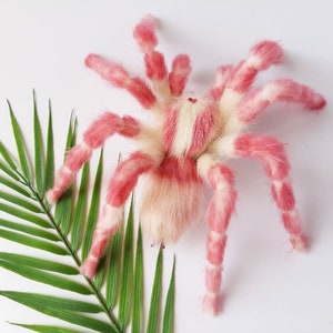 Lifelike Tarantula Spider, Poseable Shelf Decor, Wall Mount, Insect Art ...