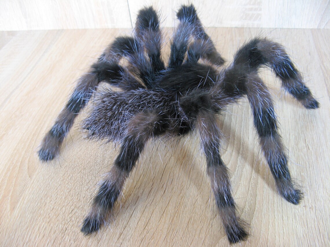 Lifelike Spider Not Framed Realistic Fake Tarantula Plush - Etsy