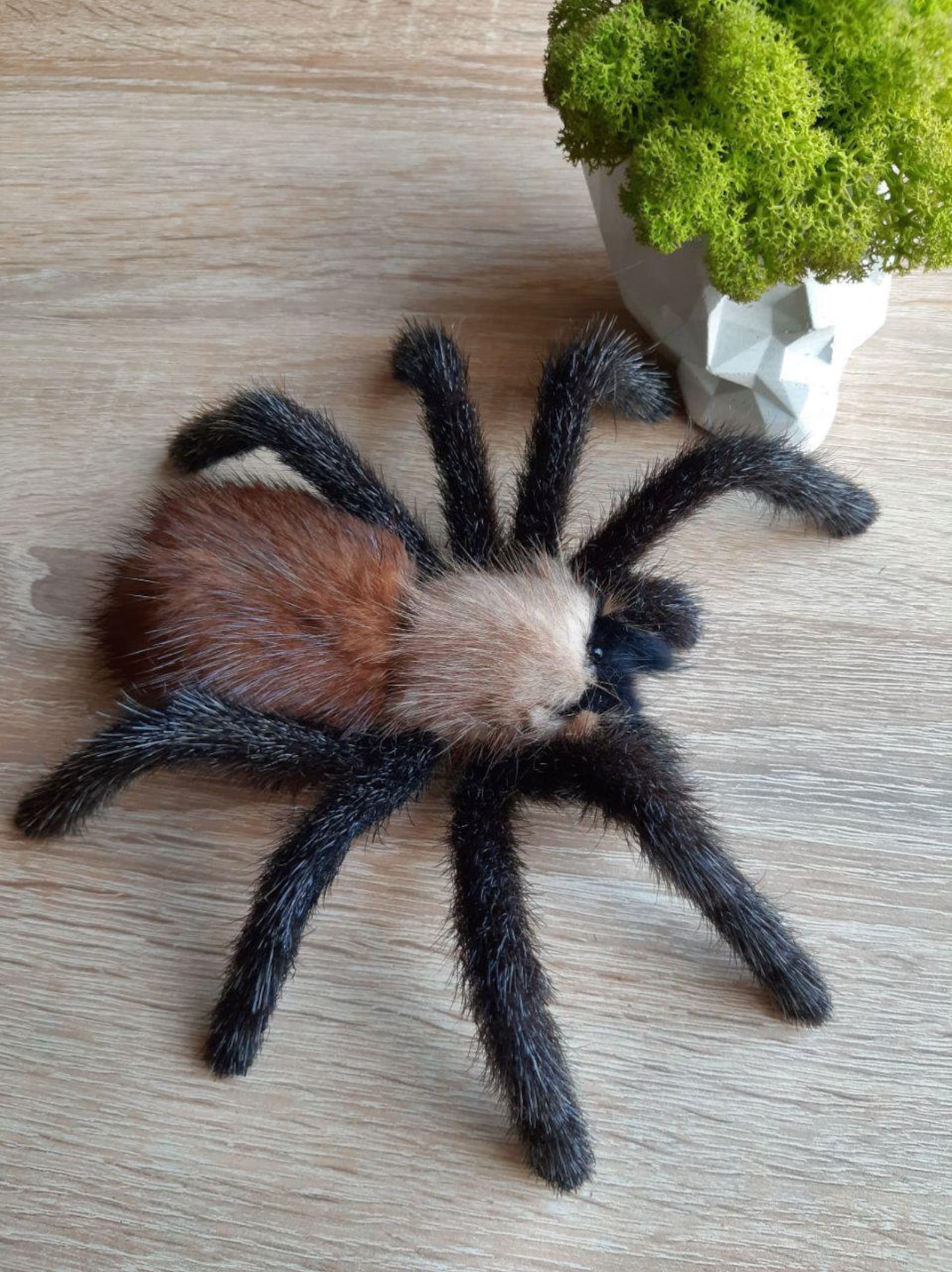 Tarantula Totem Real Size Spider Realistic Spider Sculpt Wildlife ...