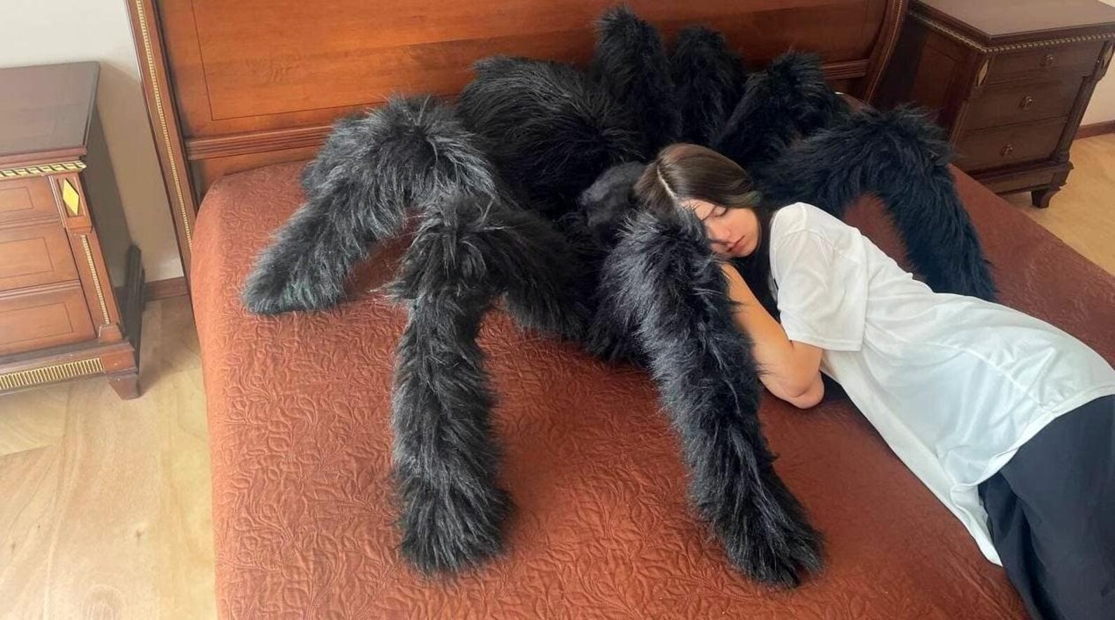 Gothic Spider Plush for Adults, Creepy Cute Companion for Sleep ...