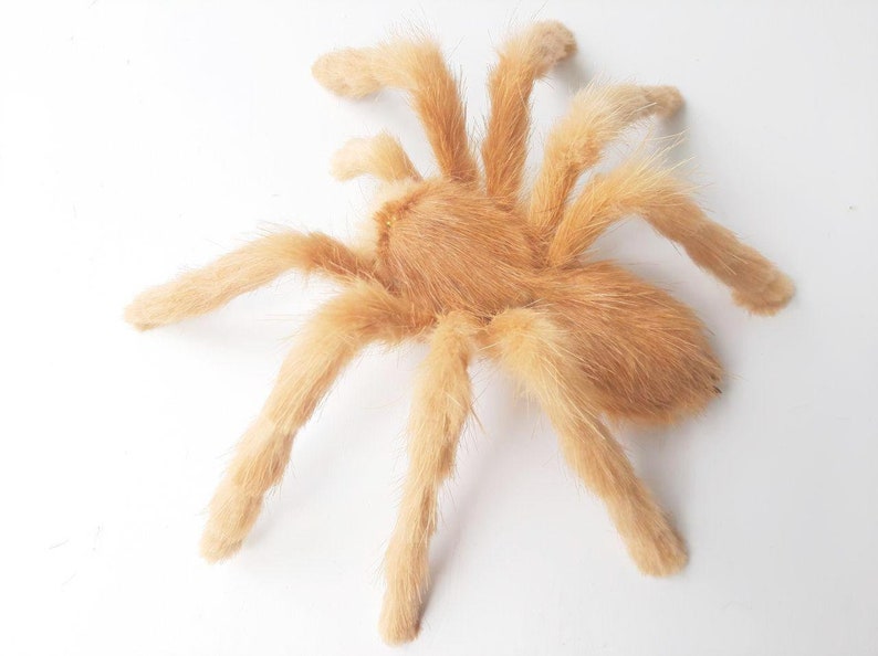 Spider Plush Saharan Tarantula Fluffy Posable Art Doll | Etsy