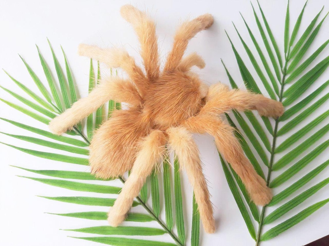 Spider Plush Saharan Tarantula Fluffy Posable Art Doll Insect - Etsy