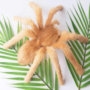 Spider Plush Saharan Tarantula Fluffy Posable Art Doll Insect ...
