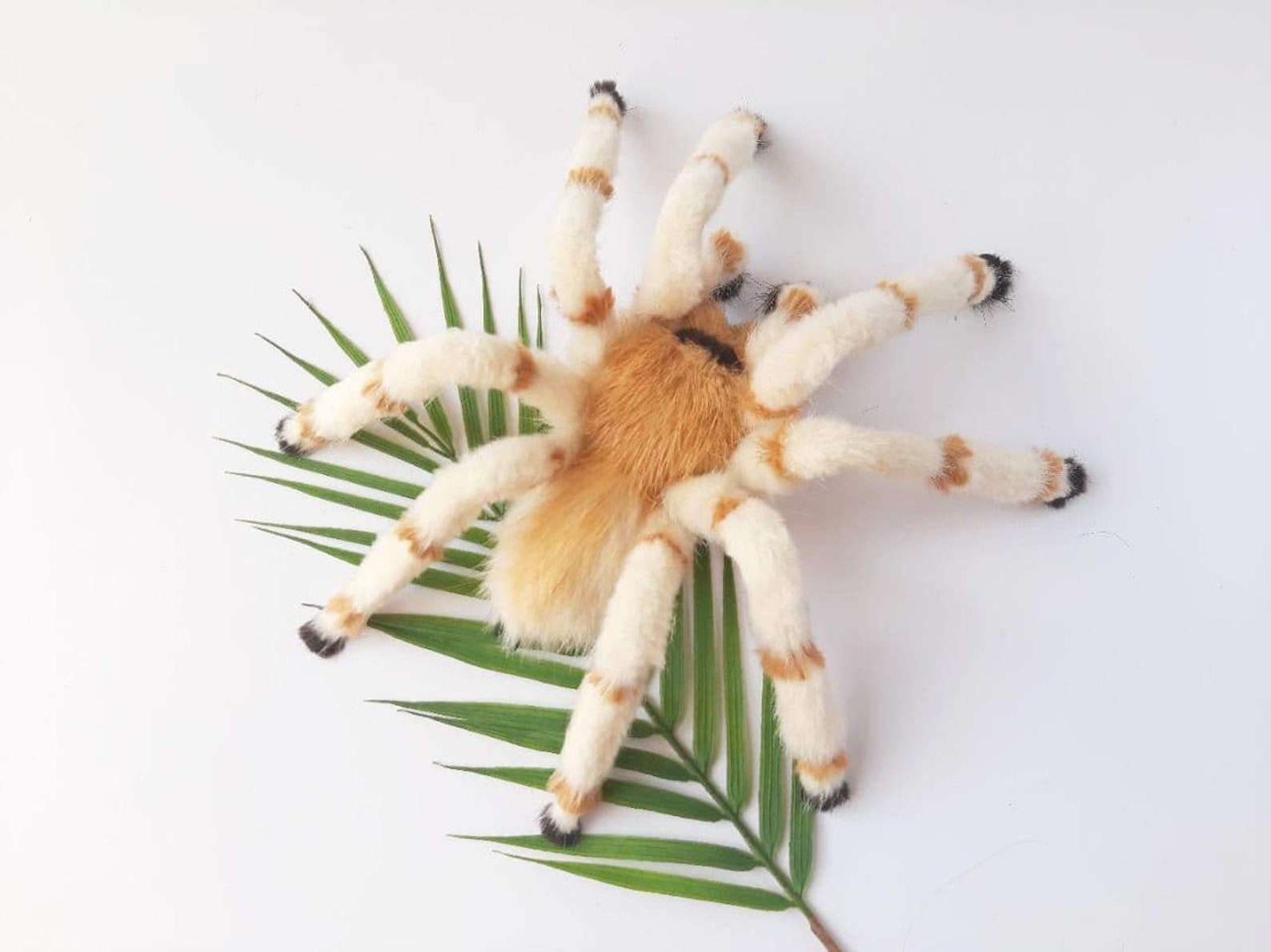 Old World Tarantula OOAK Spider Plush Realistic Stuffed Soft | Etsy