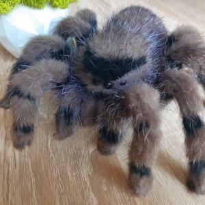 6" Jumping Spider Plush- Posable Art Doll Animal- Shelf Decor- Insect ...