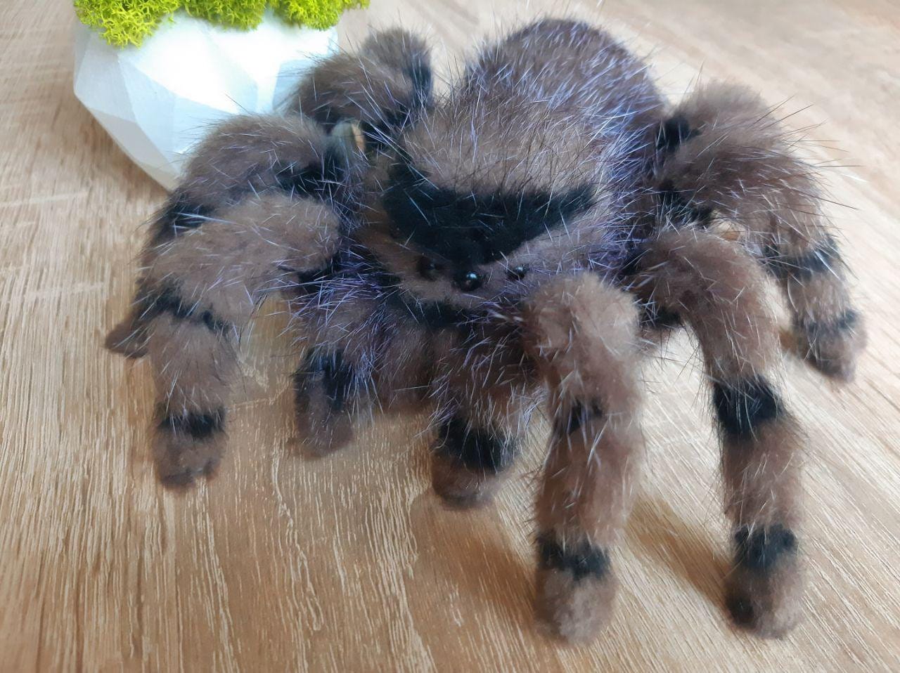 6" Jumping Spider Plush- Posable Art Doll Animal- Shelf Decor- Insect ...