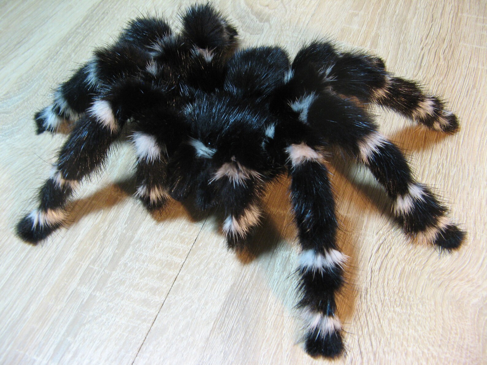Striped Tarantula Art Doll Realistic Fake Tarantula Stuffed - Etsy