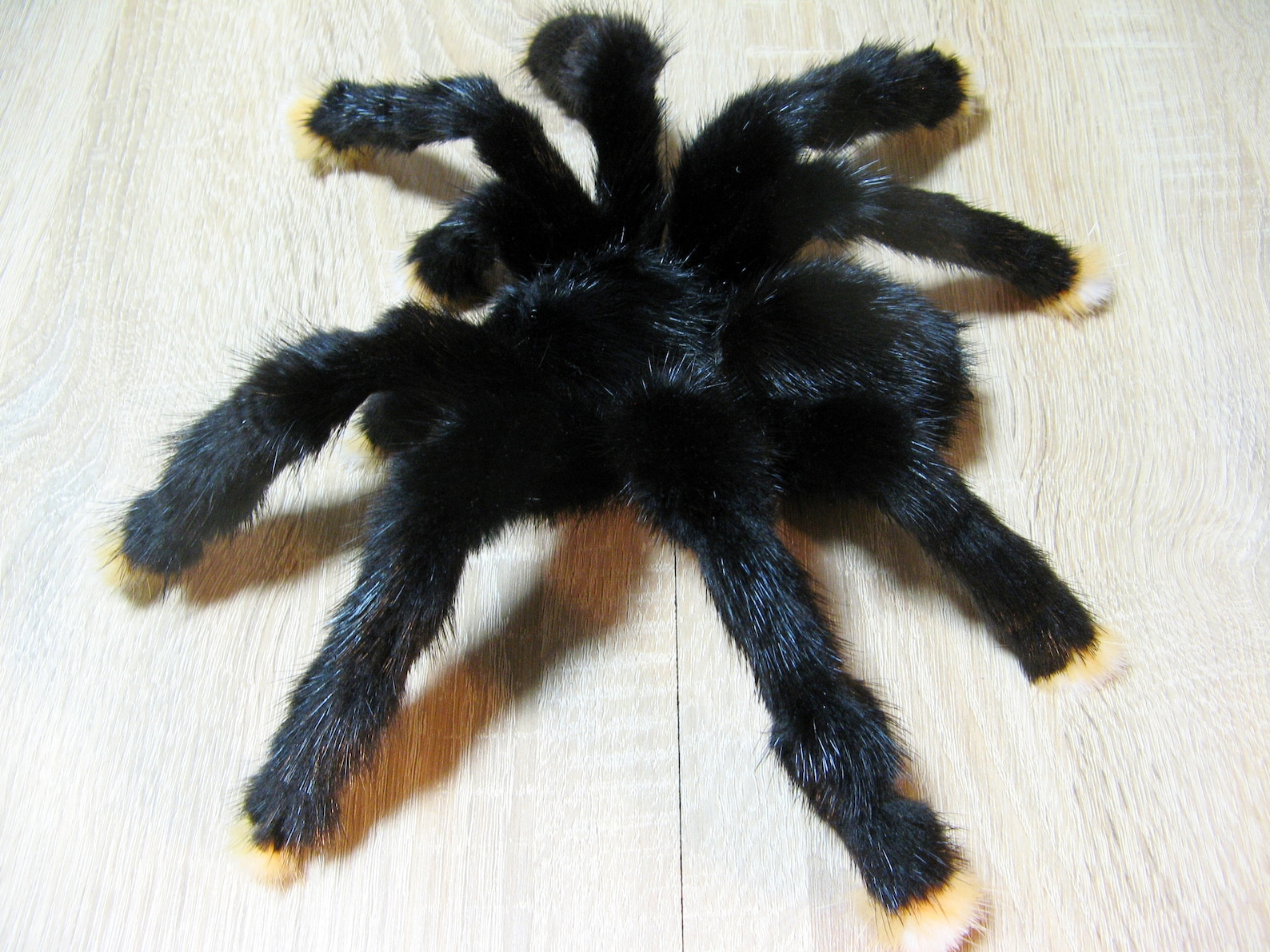 Pink-toed Tarantula Pinktoe Pink Toe Realistic Fake Spider Stuffed ...