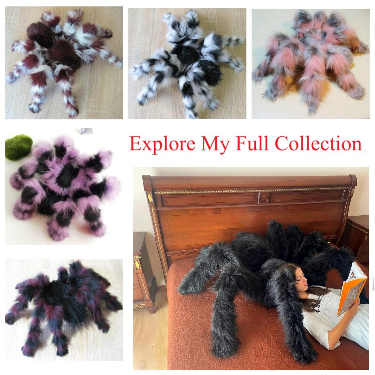 6" Jumping Spider Plush- Posable Art Doll Animal- Shelf Decor- Insect ...