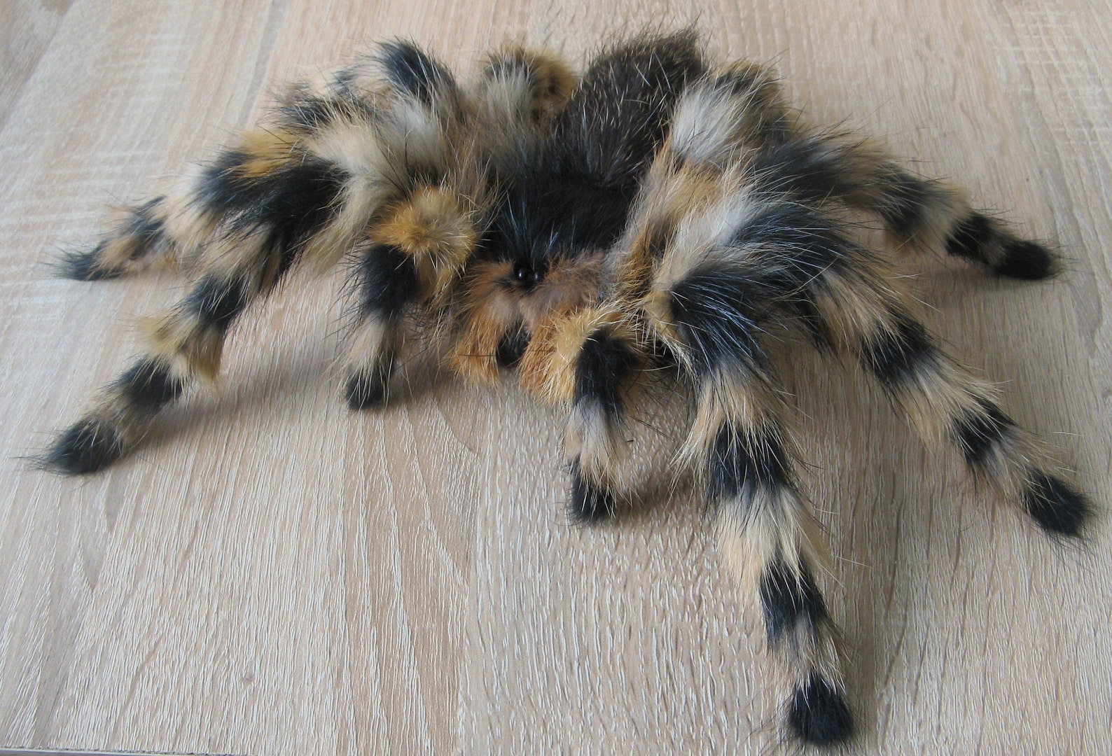 Realistic Tarantula Spider Poseable Shelf Decor Wall - Etsy